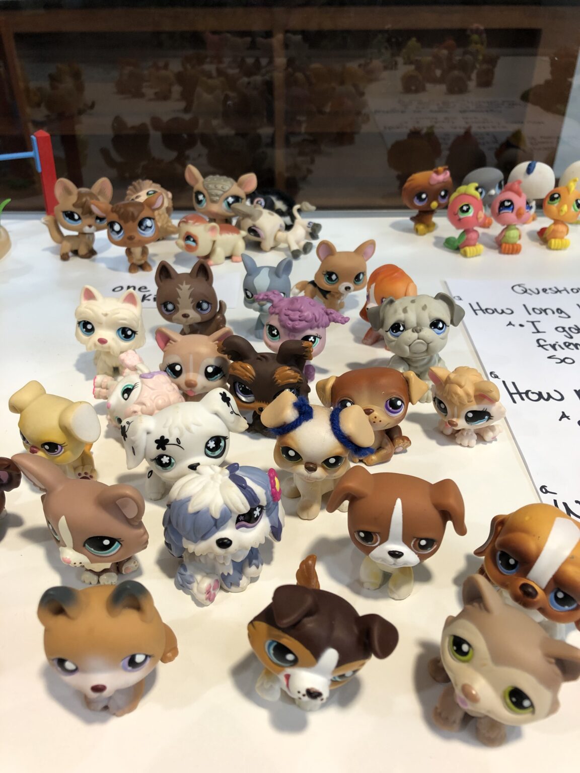 Rico's LEGOs and Evelyn's Littlest Pet Shop Collection - Public Library ...