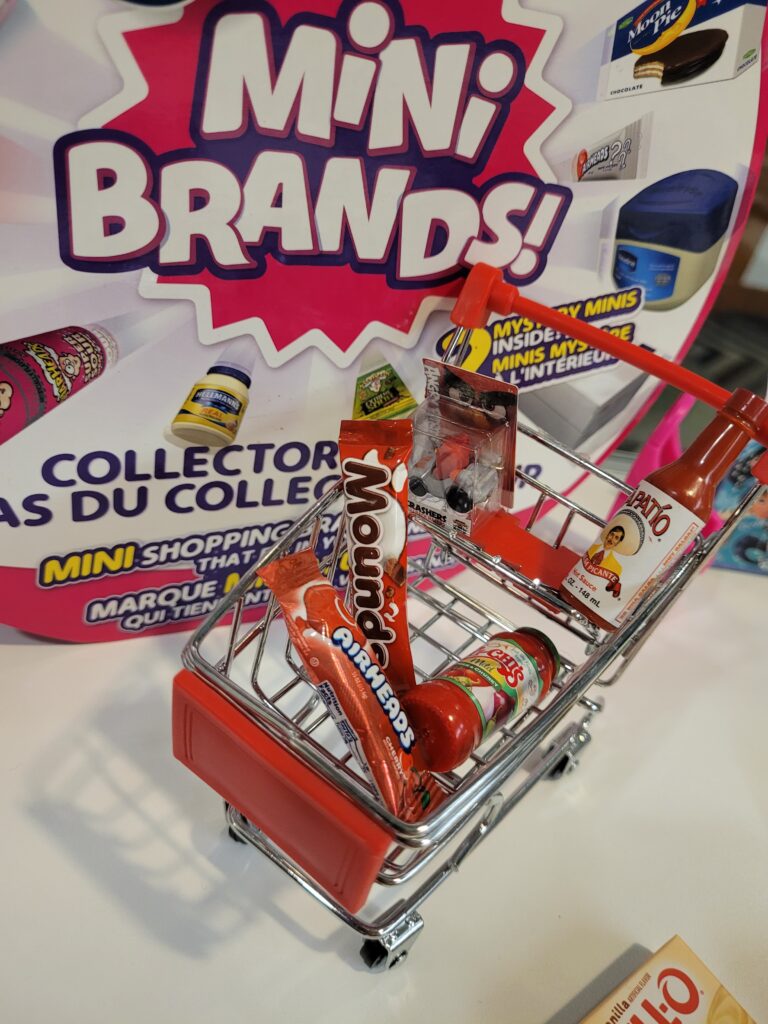 Hannah's Mini Brand Collection and Arjun's LEGO Collection - Public ...