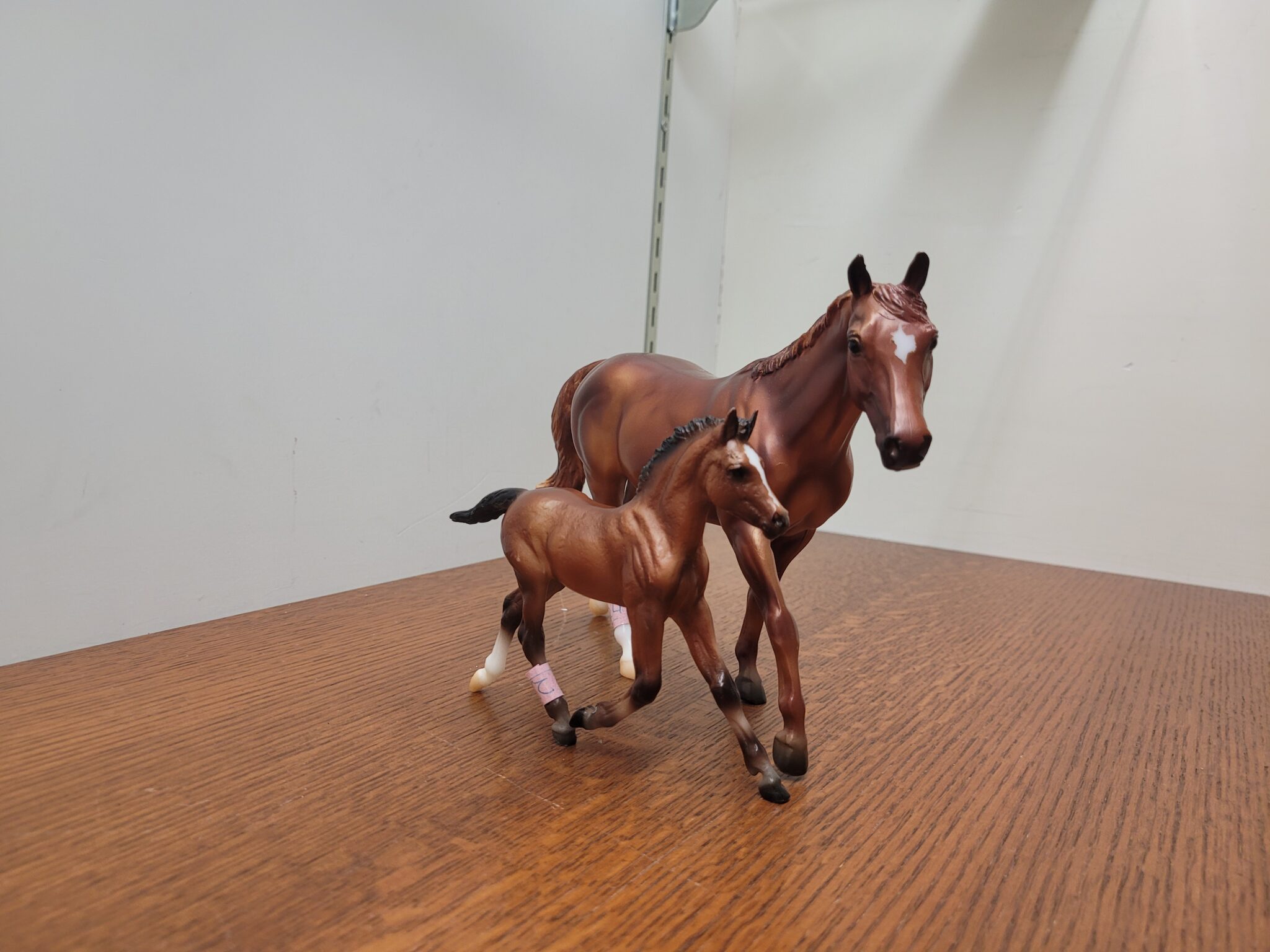 Mackenzie's Horse Collection - Public Library of Brookline