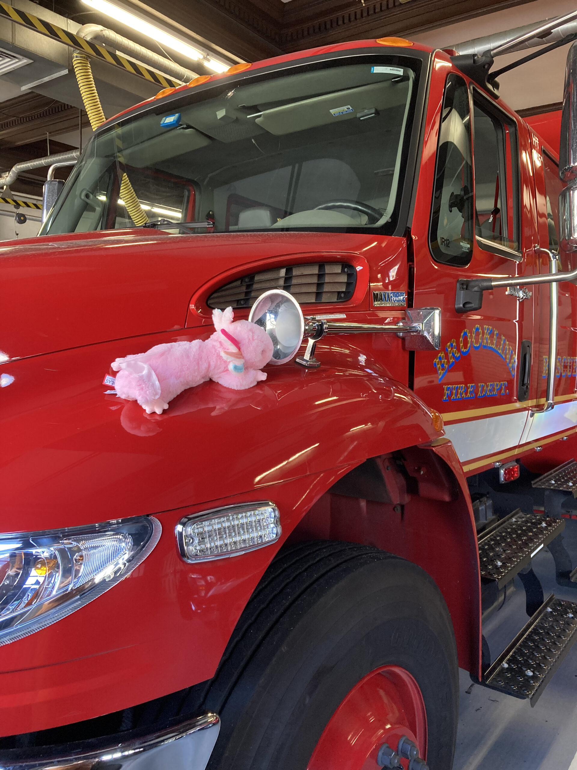 2024 Stuffed Animal Sleepover: Fun at the Fire Station! - Public ...