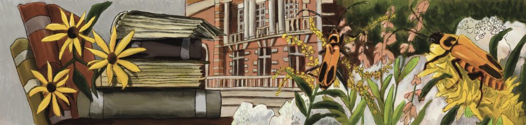 Putterham – Public Library of Brookline