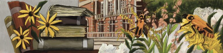 Coolidge Corner – Public Library of Brookline